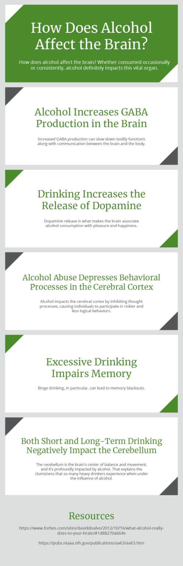 How Does Alcohol Affect the Brain? Our Infographic Has the Answers