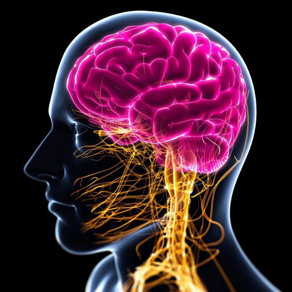 Understanding Polysubstance Use Disorder: Signs and Treatment | Ashley ...